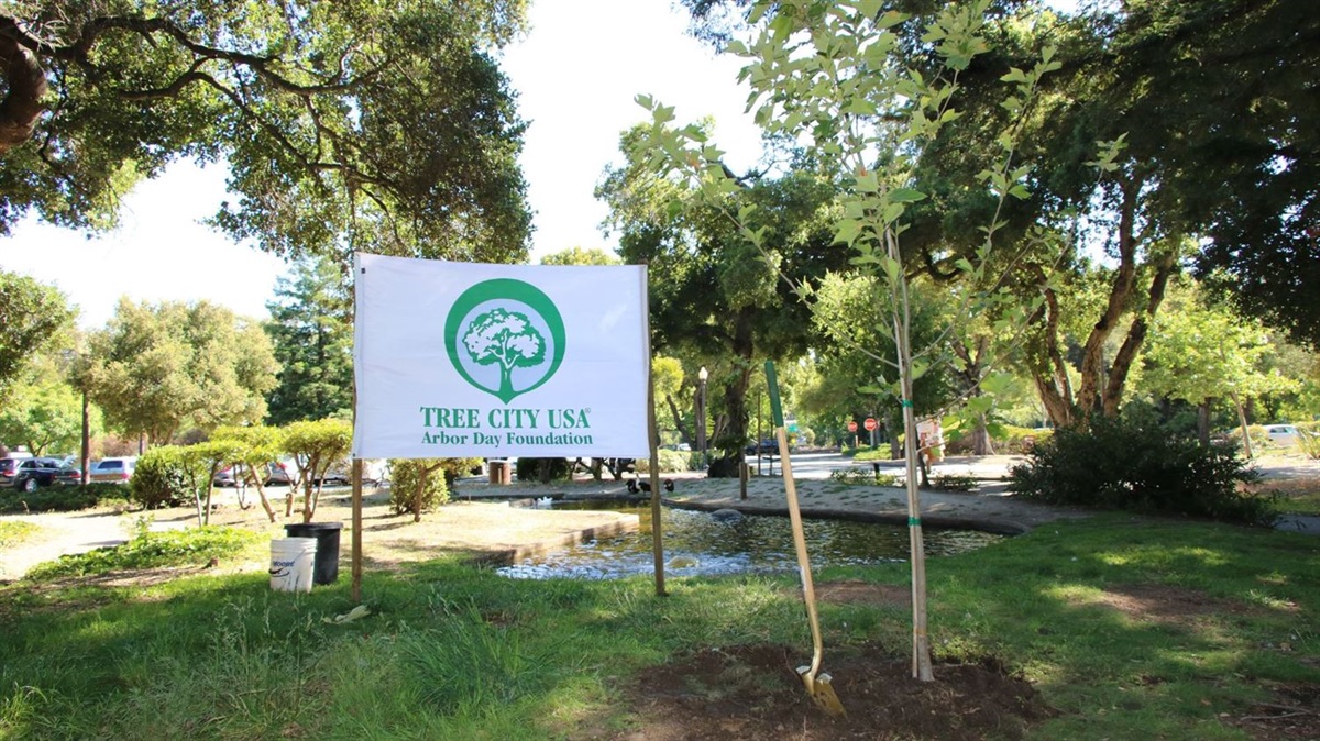 Join us for an Arbor Day celebration and tree planting City of Menlo Park