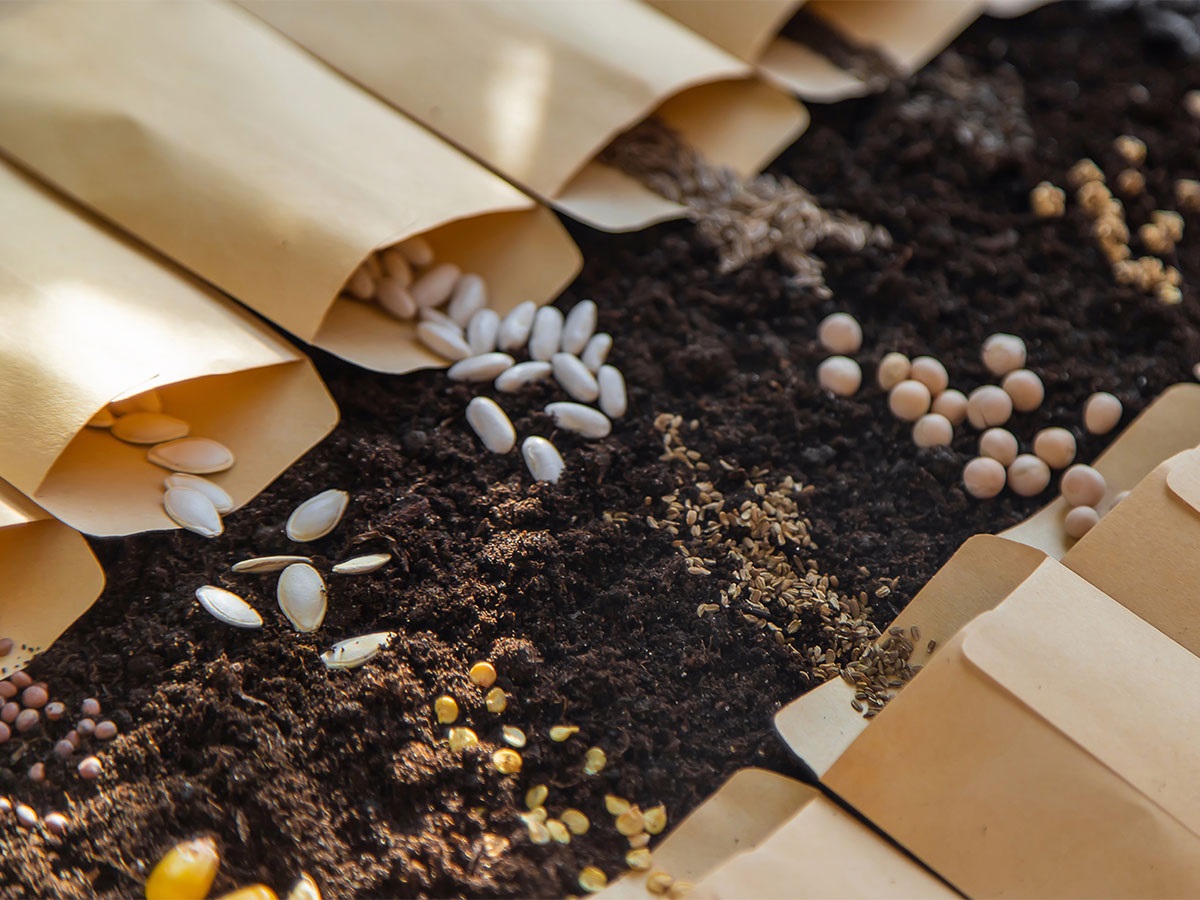 Seed Lending Library City of Menlo Park