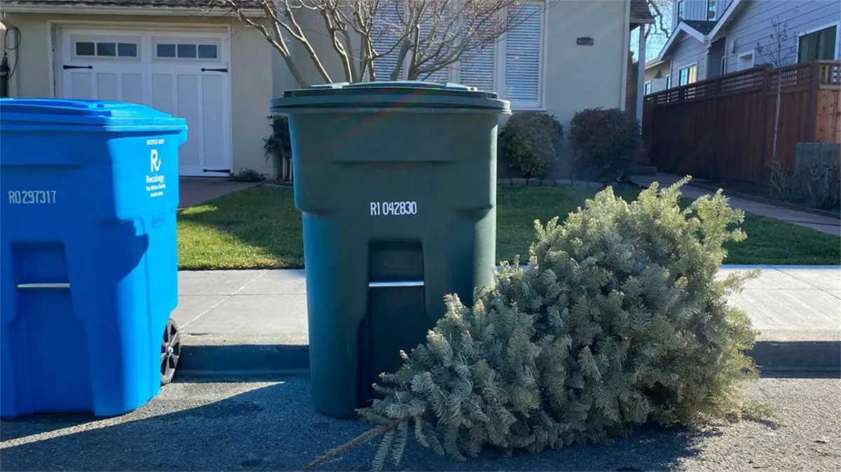 Curbside holiday tree collection and guidelines City of Menlo Park